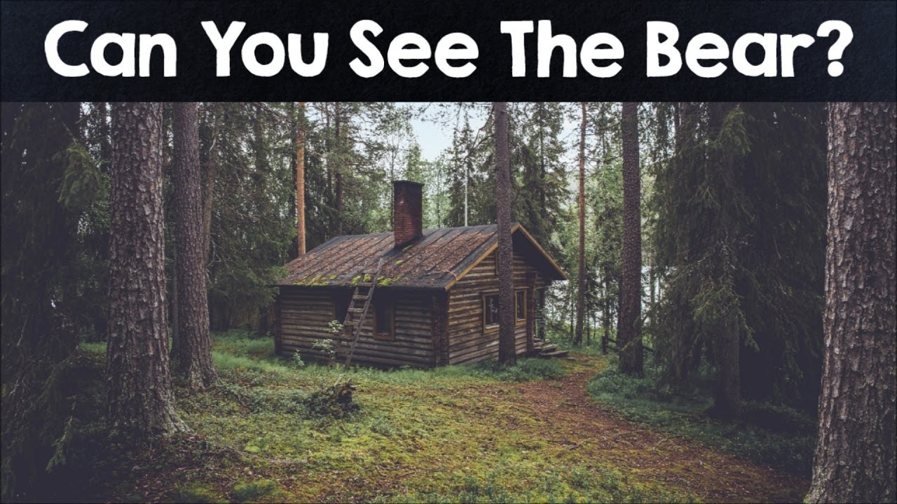 Almost Nobody Can See All The Hidden Animals In These Photos What Almost Nobody Can See All The Hidden Animals In These Photos What